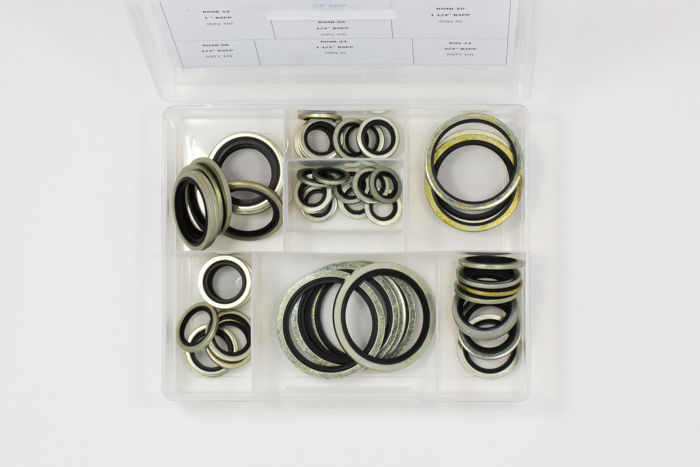 SORKIT-DP- O'Ring Kit suit Bonded BSPP Seals | Hydraulic Supplies and ...